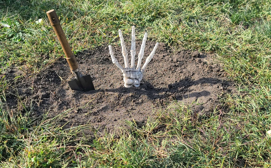 3D Printed Skeleton Hand Statue - Etsy