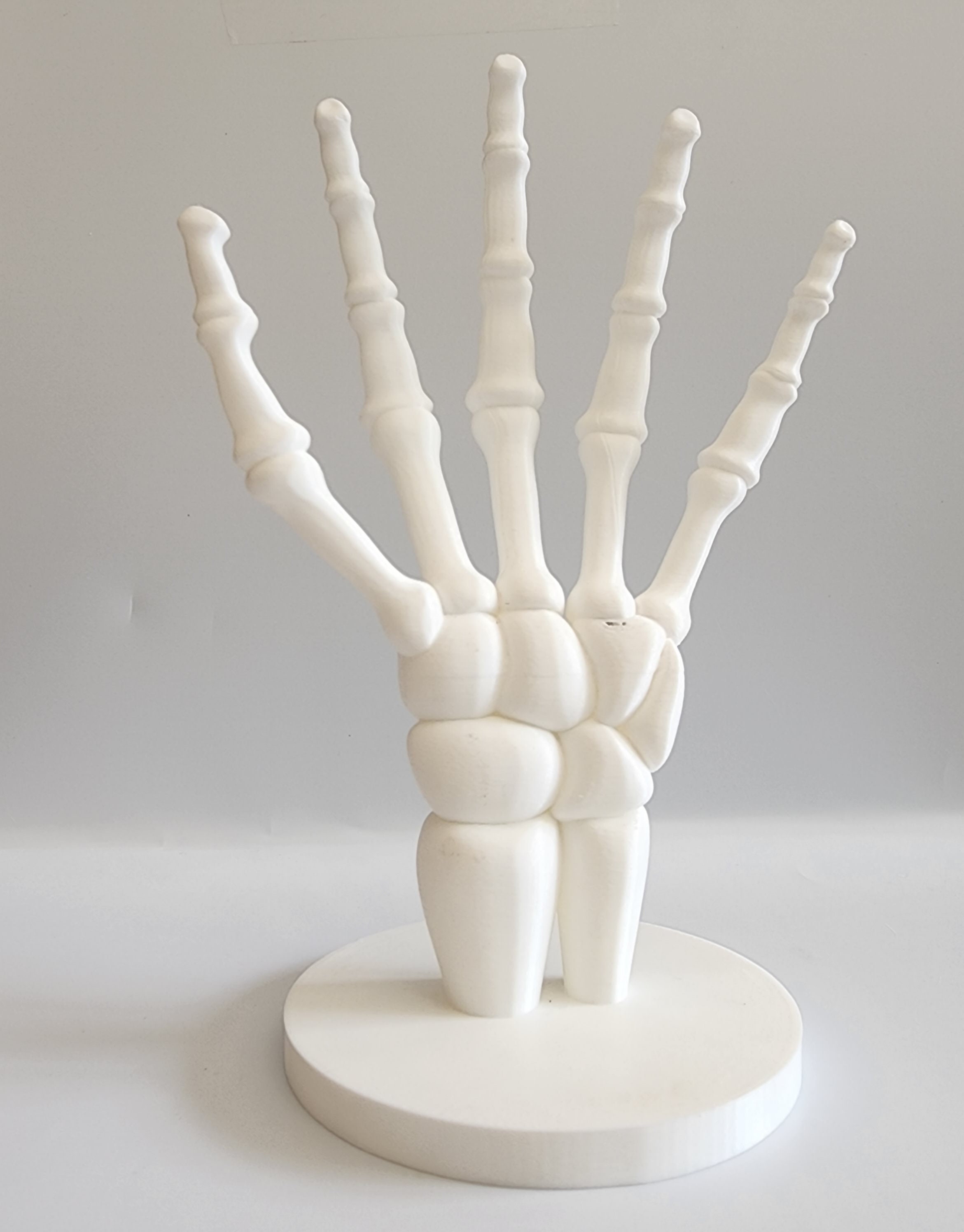 3D Printed Skeleton Hand Statue - Etsy