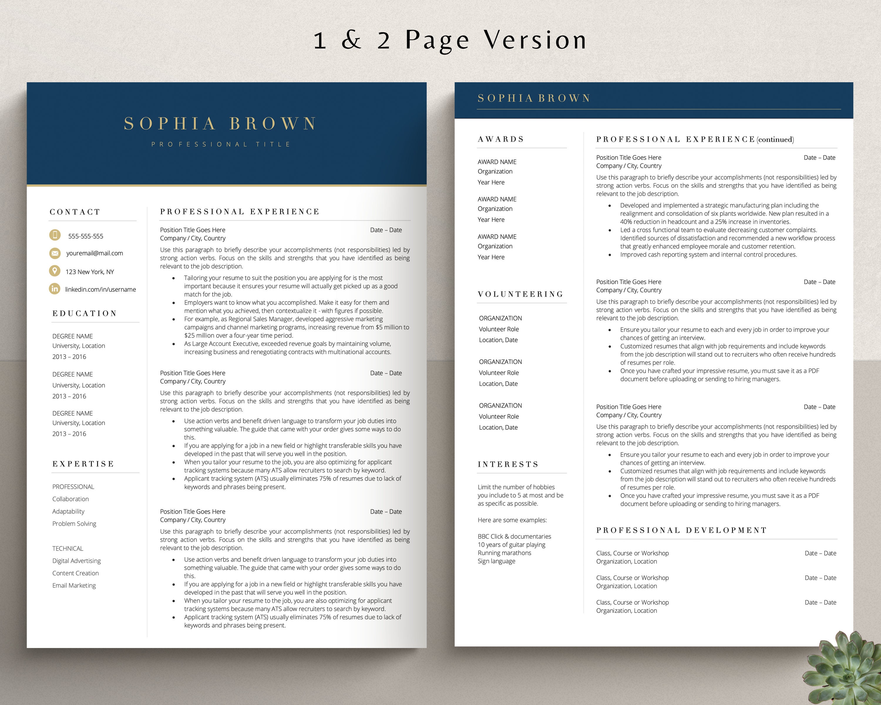 Resume Template Professional C Level Resume Template for Word - Etsy