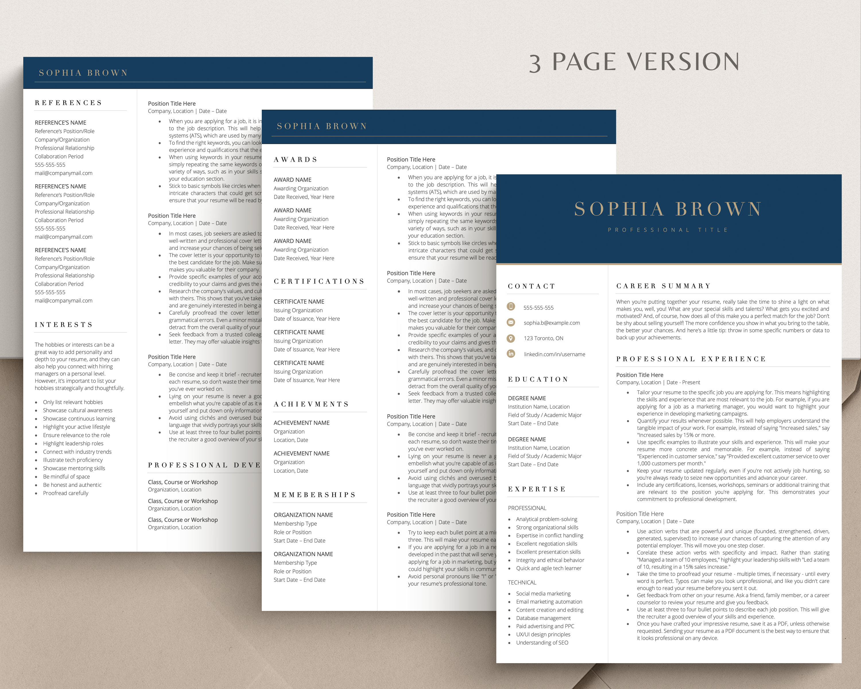 Resume Template, Professional C Level Resume Template for Word & Mac ...