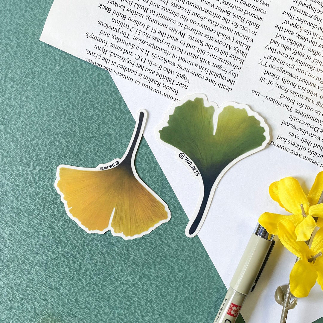 Transparent Ginkgo Stickers - Golden Ginkgo - Green Gingko ...