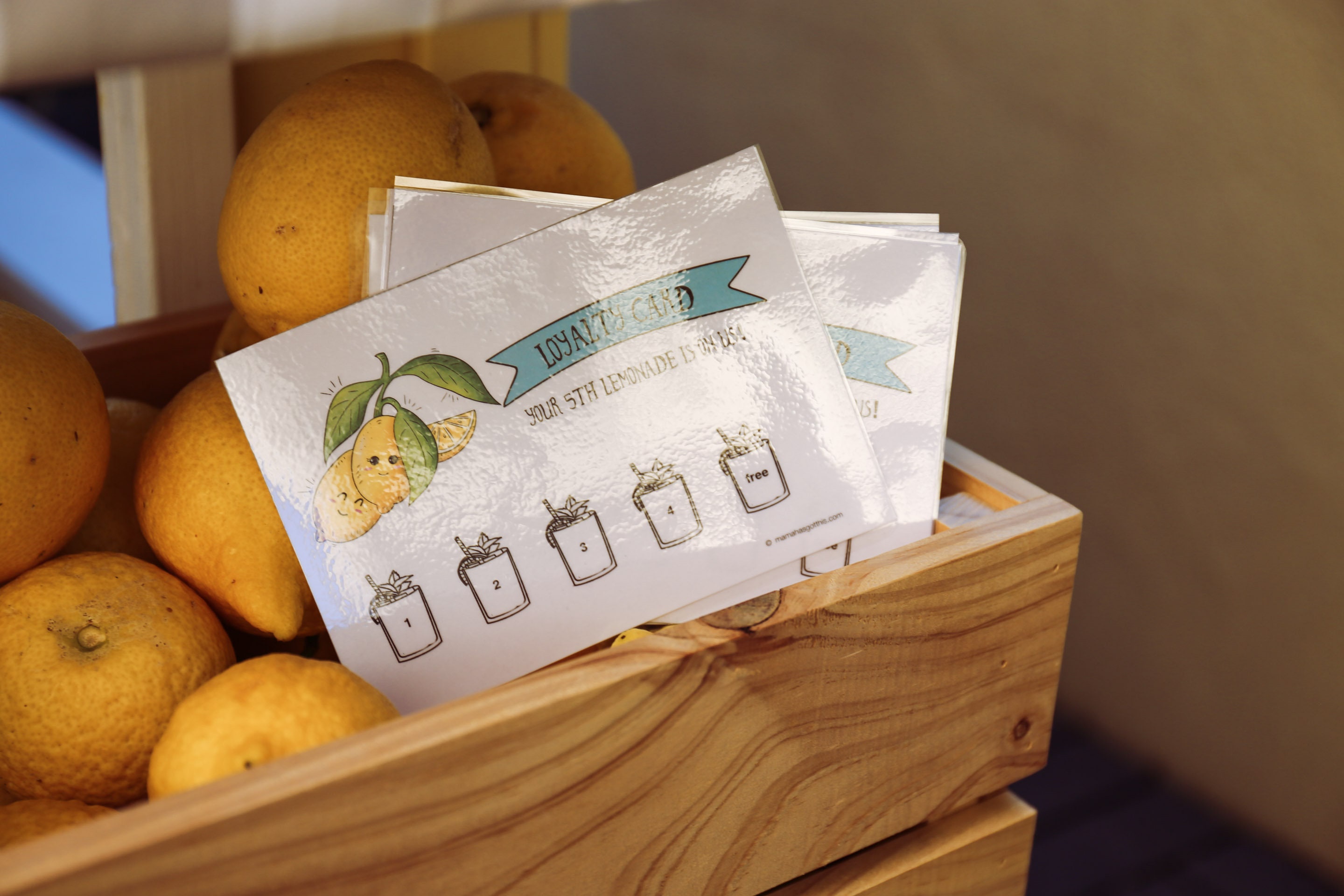 Printable Lemonade Stand Dramatic Play Pretend Play Set - Etsy