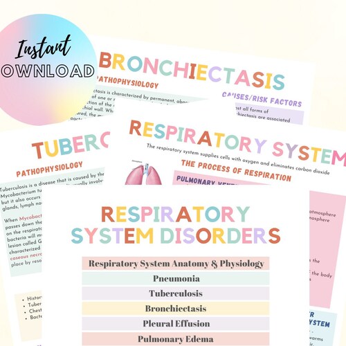 Respiratory System Nursing Notes Student Study Guides - Etsy