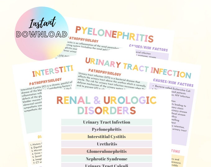 Renal/urinary System & Diseases, Nursing Study Guides, Nursing Notes ...