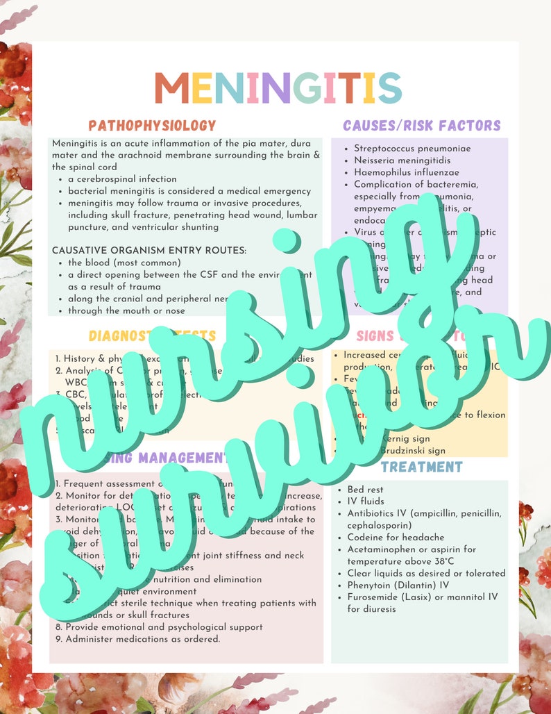 Neurological System Med Surg Study Notes, Nervous System Disorders, 21 ...