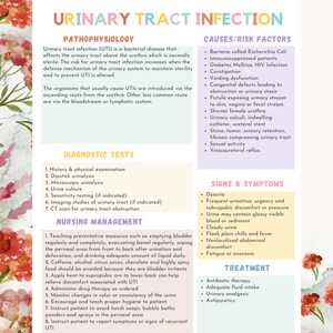 Renal & Urologic System Med Surg Notes, Nursing Student ...