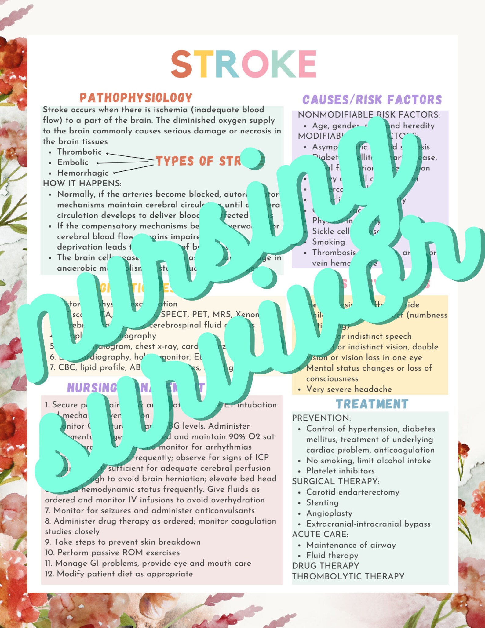 NEUROLOGICAL SYSTEM Bundle Med Surg and Pharmacology, Nervous System ...