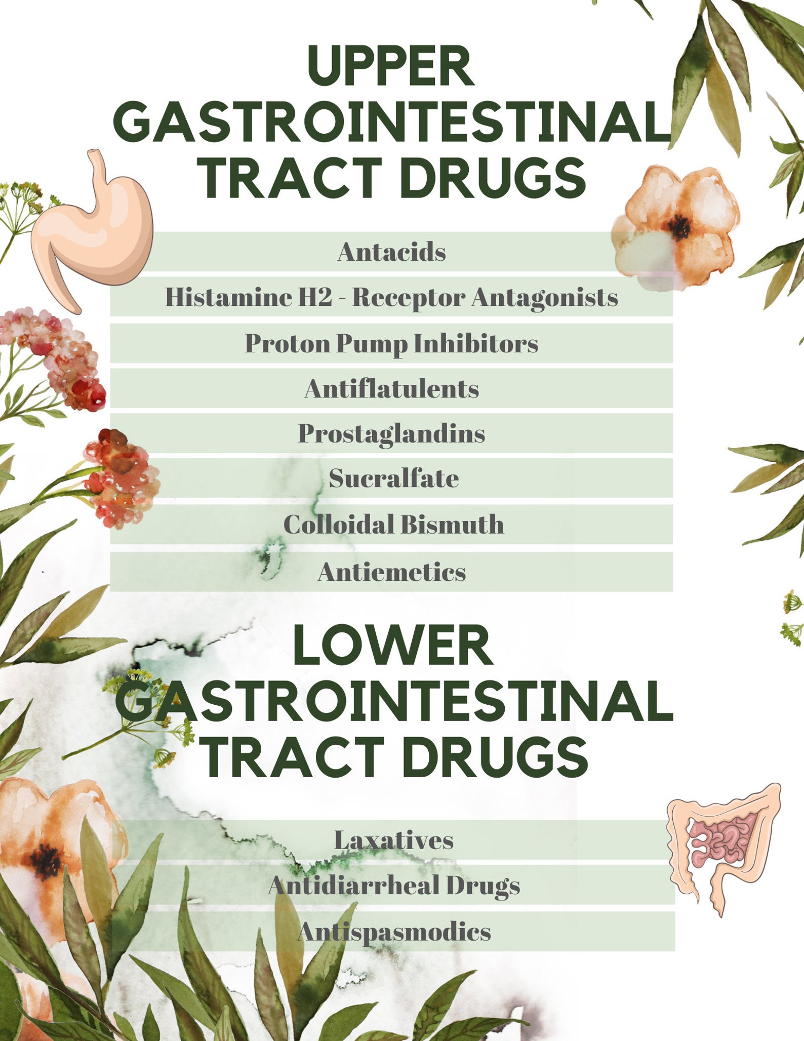 Pharmacology Notes Bundle, Study Guide, Pharmacology Digital Download ...