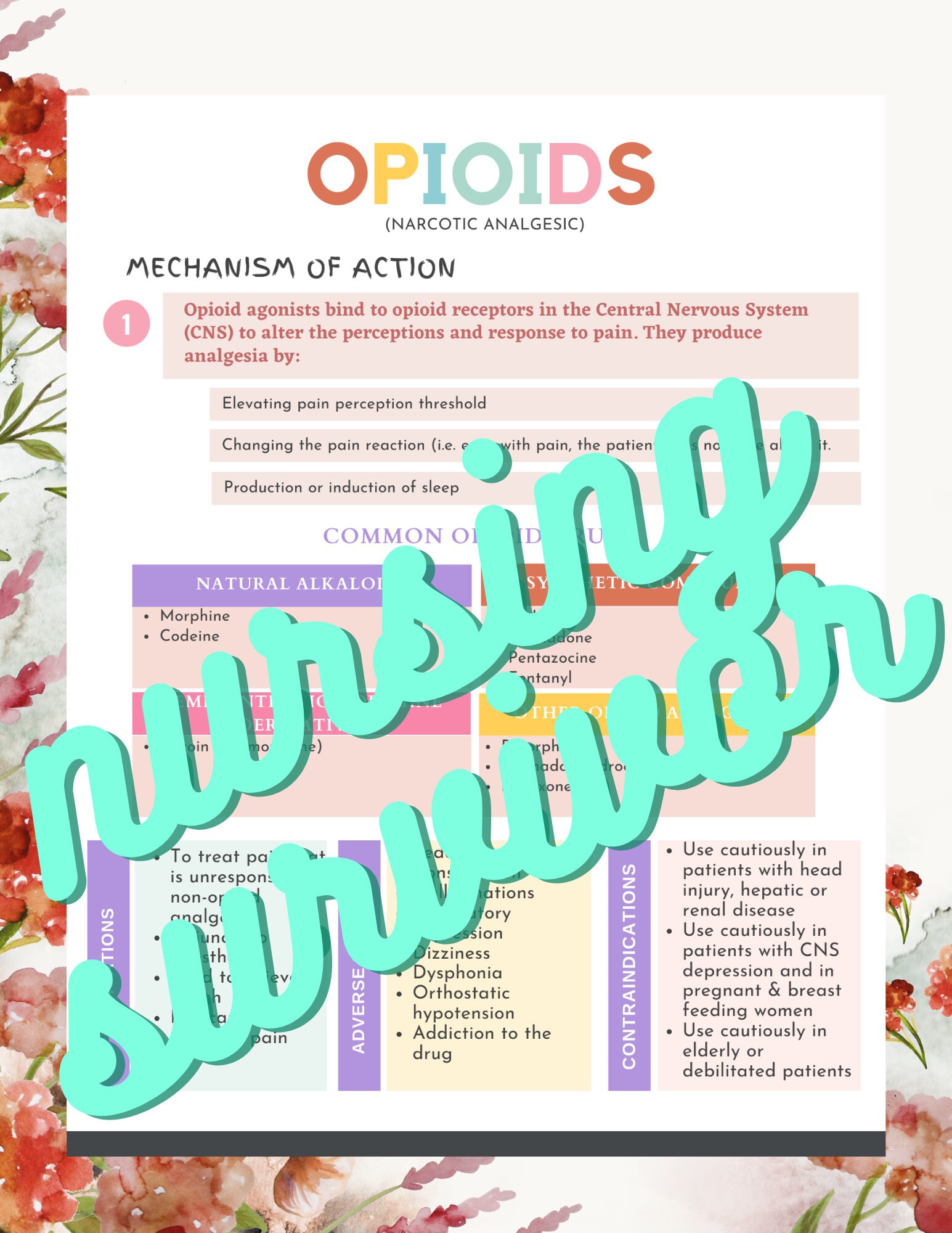 NEUROLOGICAL SYSTEM Bundle Med Surg and Pharmacology, Nervous System ...