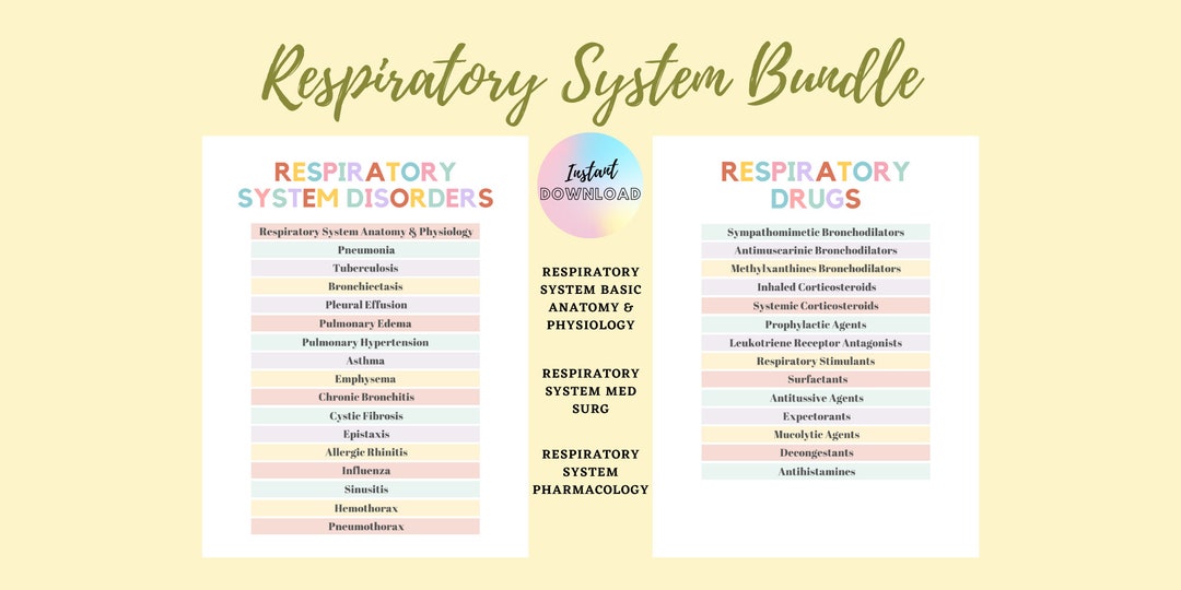 Respiratory System Study Bundle, Respiratory System Anatomy and ...