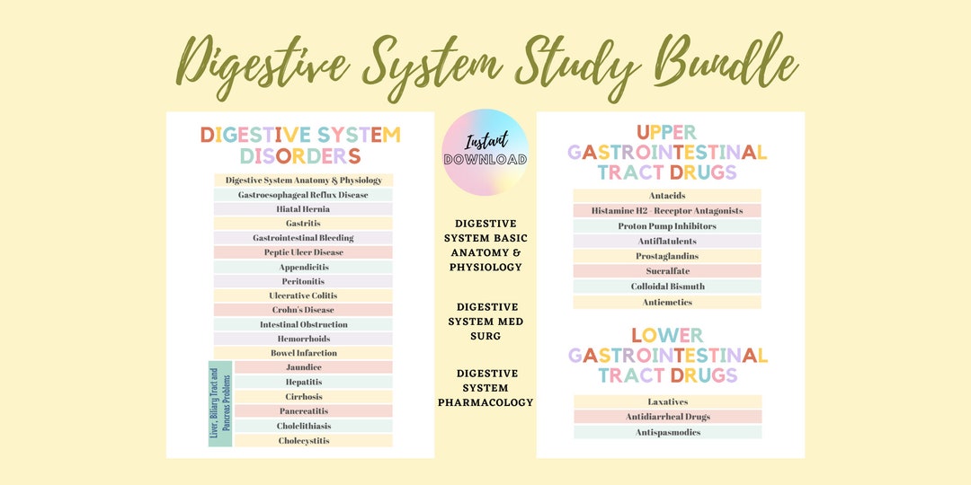 Digestive System Study Bundle, Anatomy & Physiology, Pharmacology, Med ...
