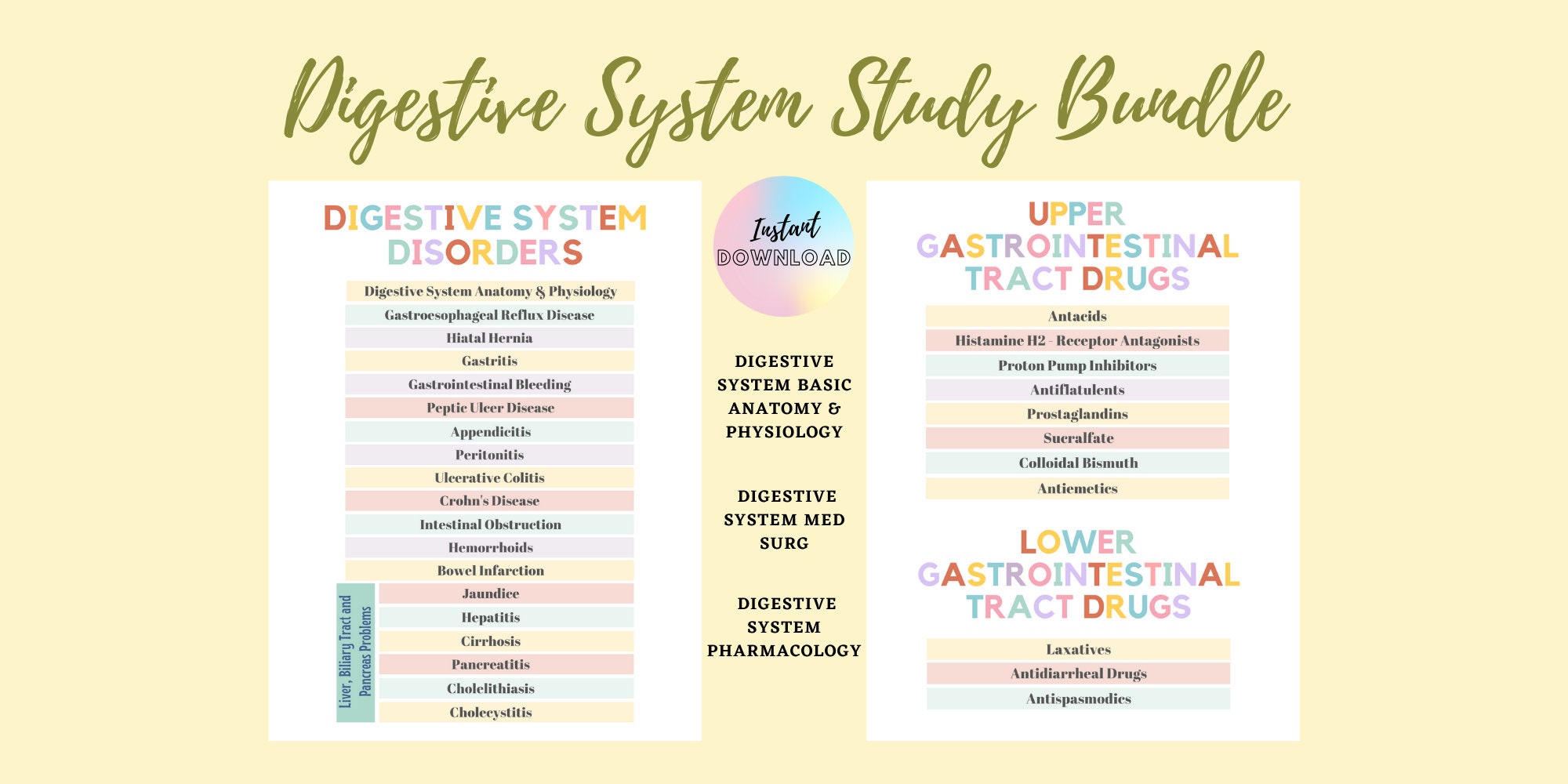 Digestive System Study Bundle, Anatomy & Physiology, Pharmacology, Med ...