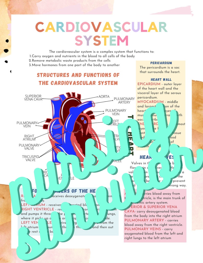 CARDIOVASCULAR SYSTEM Bundle Med Surg and Pharmacology, Cardiovascular ...