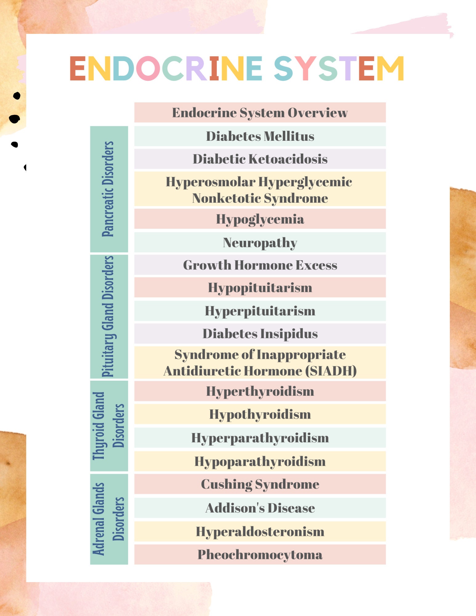 ENDOCRINE SYSTEM Bundle Med Surg & Pharmacology Nursing, DIGITAL ...