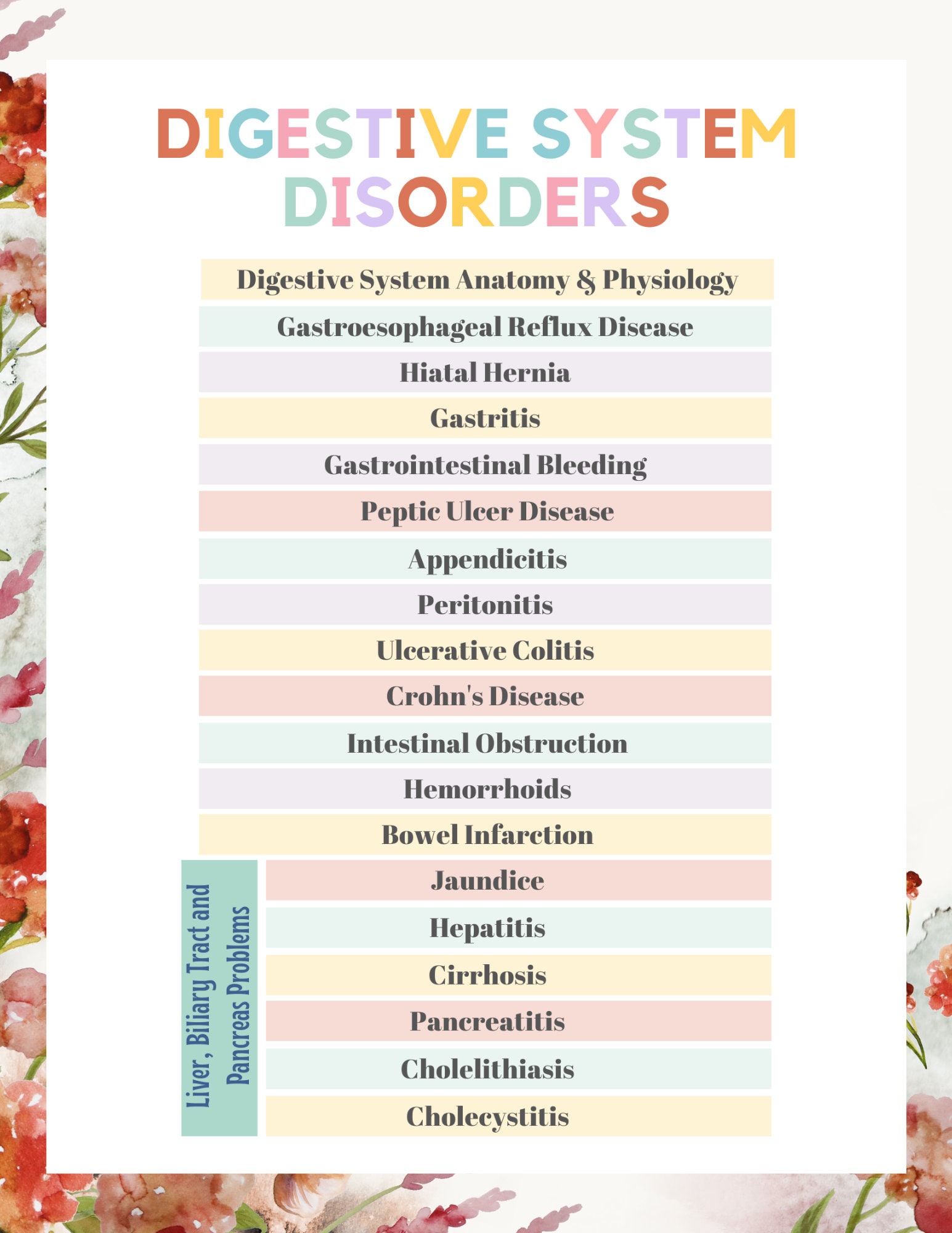 Digestive System Study Bundle, Anatomy & Physiology, Pharmacology, Med ...