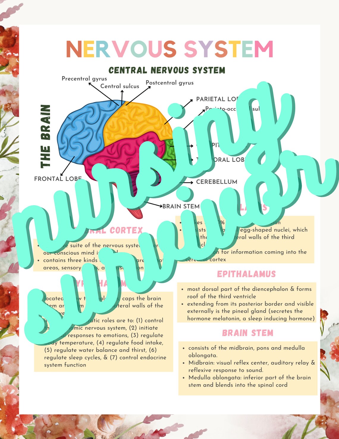 Neurological System Med Surg Study Notes, Nervous System Disorders, 21 ...