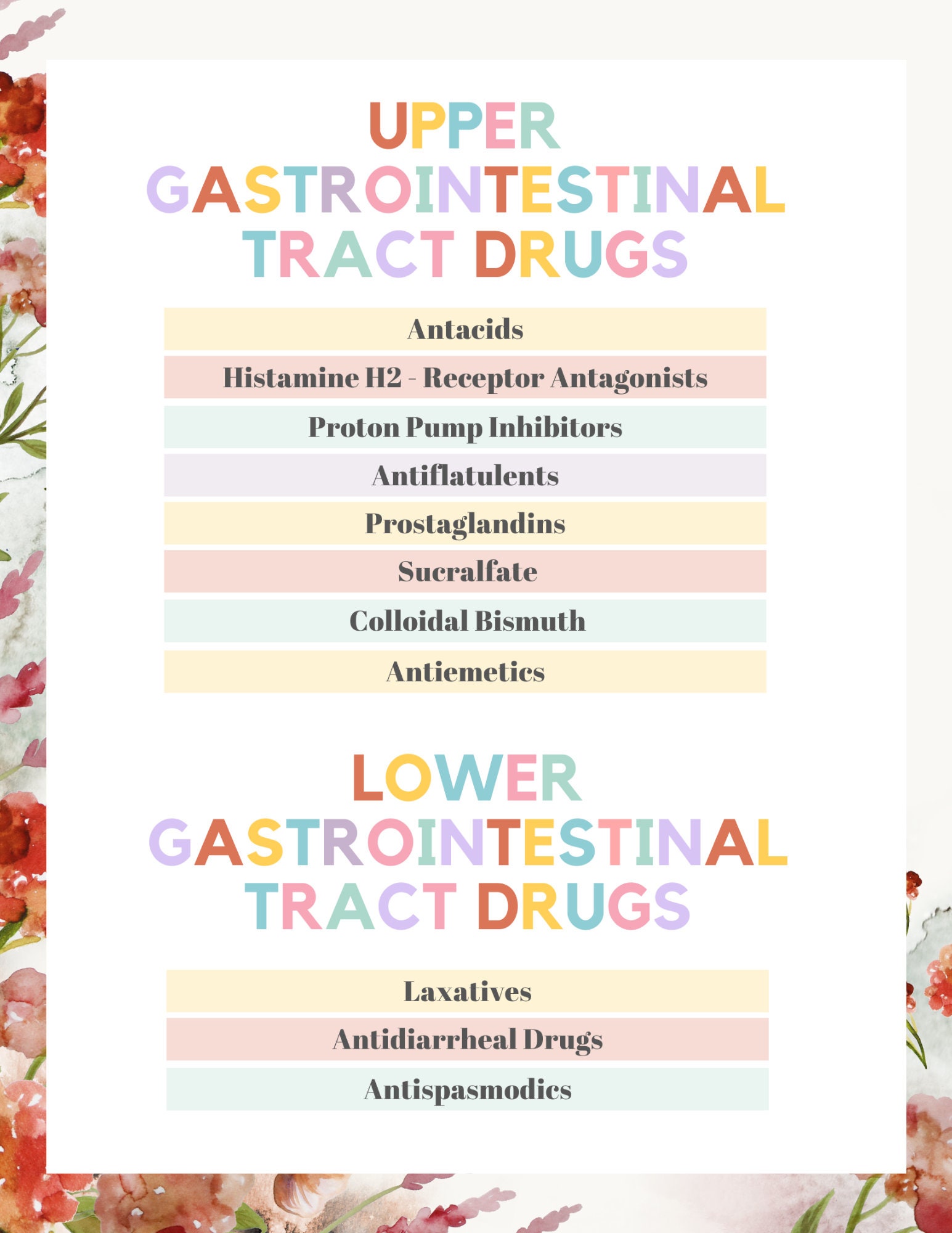 Digestive System Study Bundle Anatomy & Physiology - Etsy