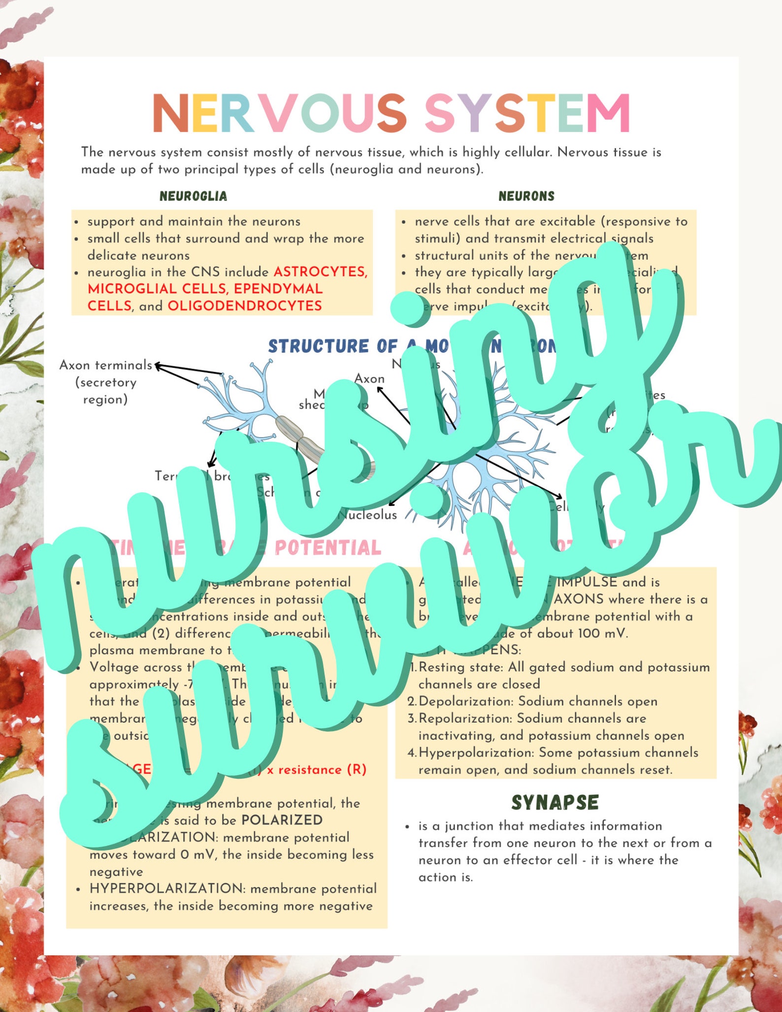 Neurological System Med Surg Study Notes, Nervous System Disorders, 21 ...