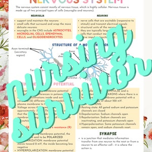 Neurological System Med Surg Study Notes, Nervous System Disorders, 21 ...