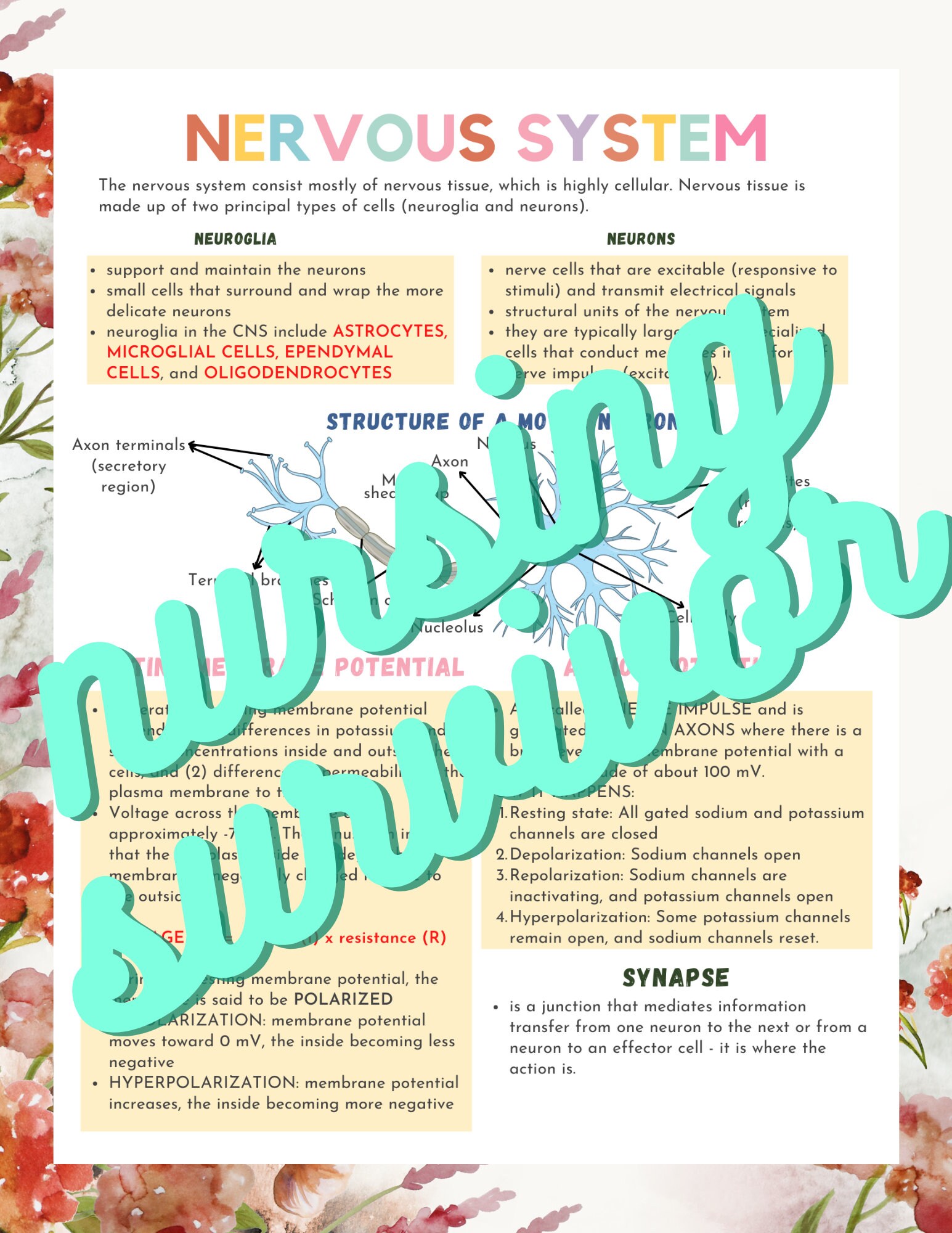 Neurological System Med Surg Study Notes, Nervous System Disorders, 21 ...