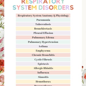 Respiratory System Med Surg, Respiratory System Anatomy and Physiology ...