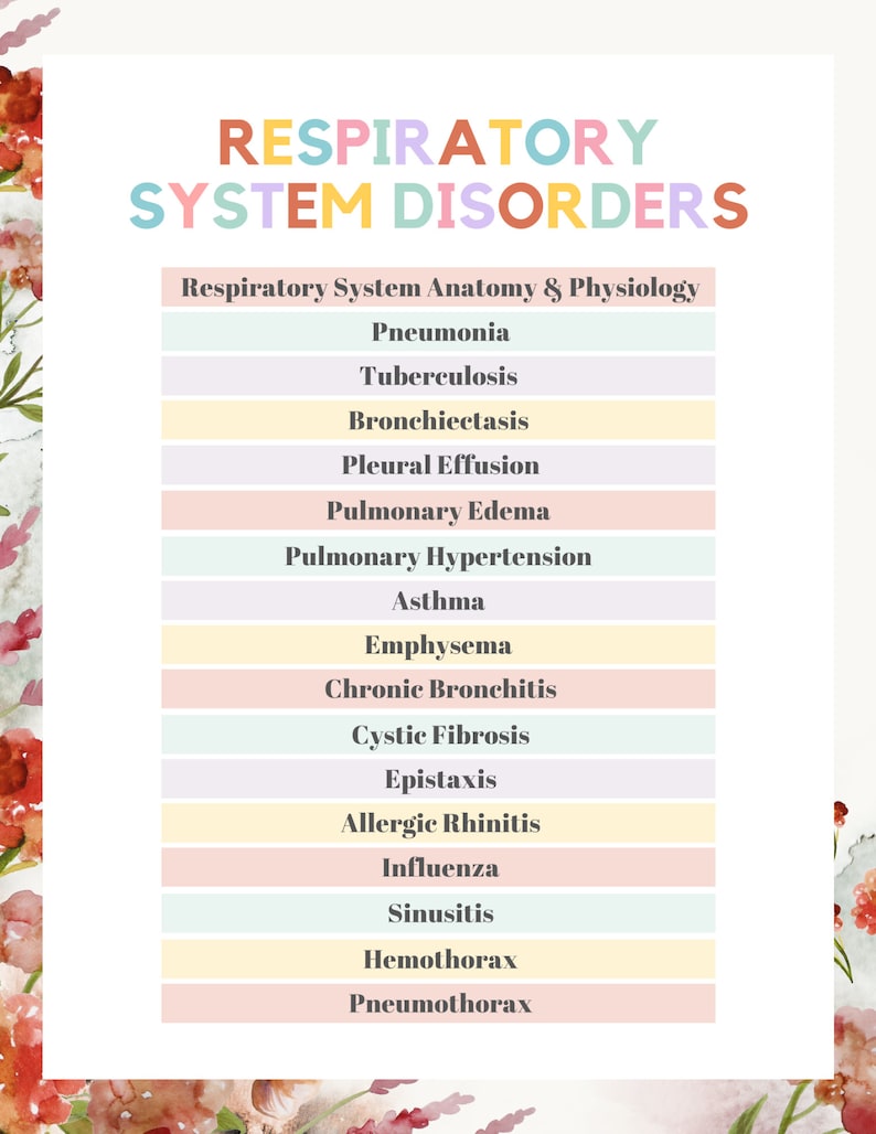 Respiratory System Med Surg, Respiratory System Anatomy and Physiology ...