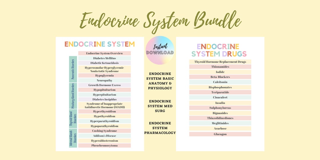 ENDOCRINE SYSTEM Bundle Med Surg & Pharmacology Nursing, DIGITAL ...