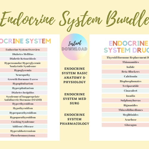 Endocrine System Study Guide Nursing Study Notes Digital - Etsy