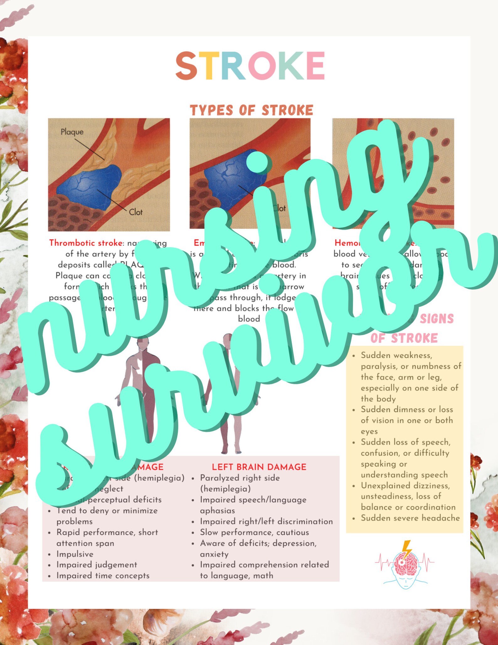 Neurological System Med Surg Study Notes, Nervous System Disorders, 21 ...