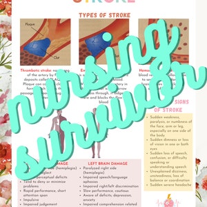 Neurological System Med Surg Study Notes, Nervous System Disorders, 21 ...