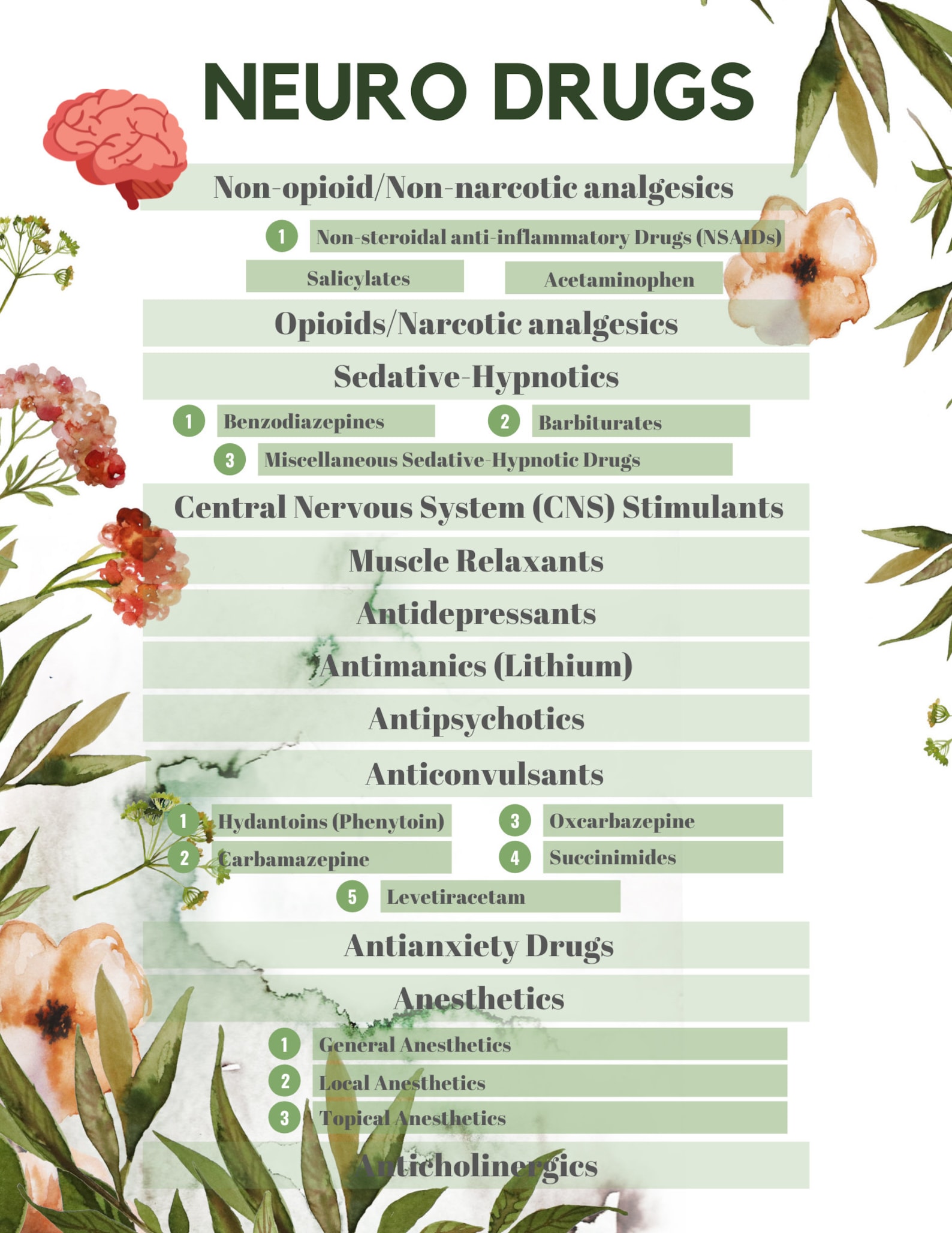 Pharmacology Notes Bundle, Study Guide, Pharmacology Digital Download ...