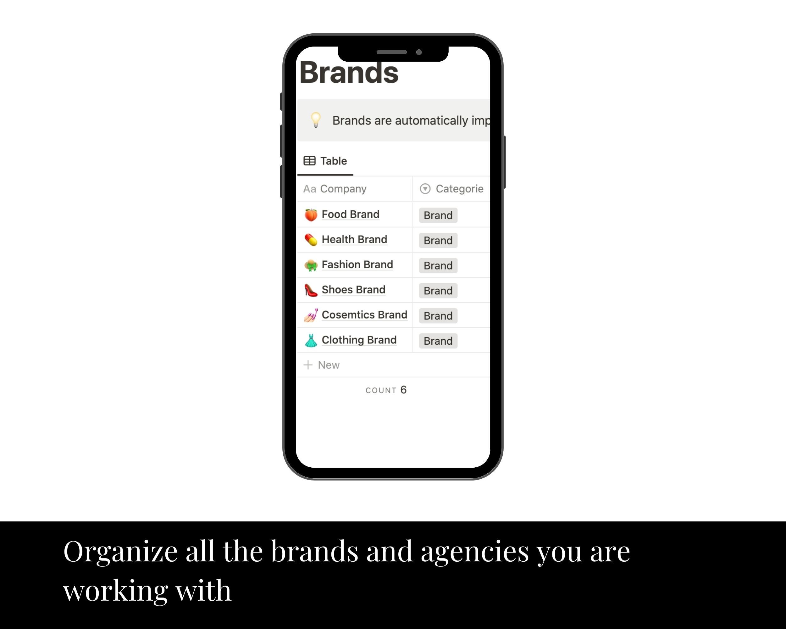 UGC Payment Tracker Notion Editable Template User Generated Content ...