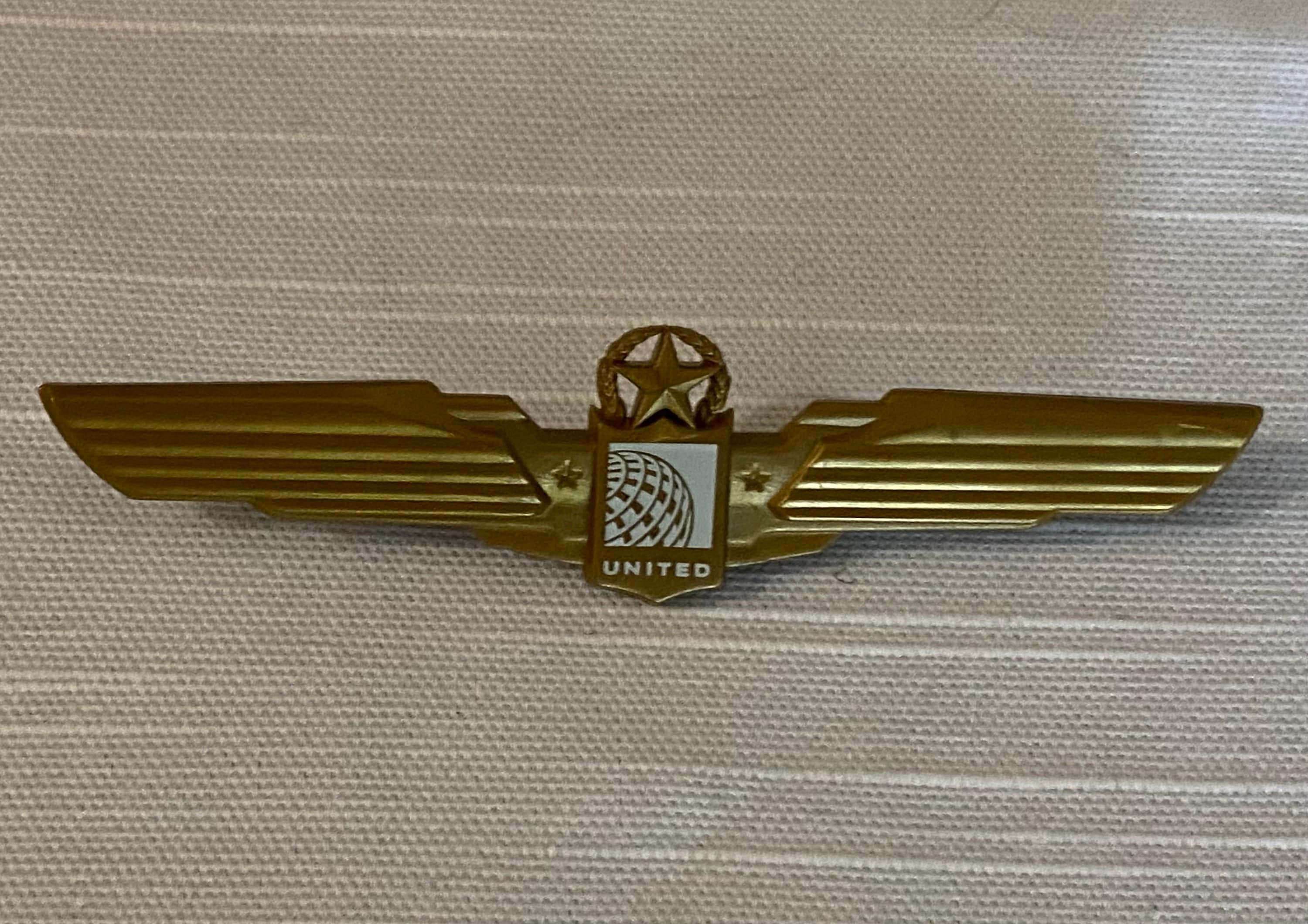 United Airlines Wing Pin - Etsy