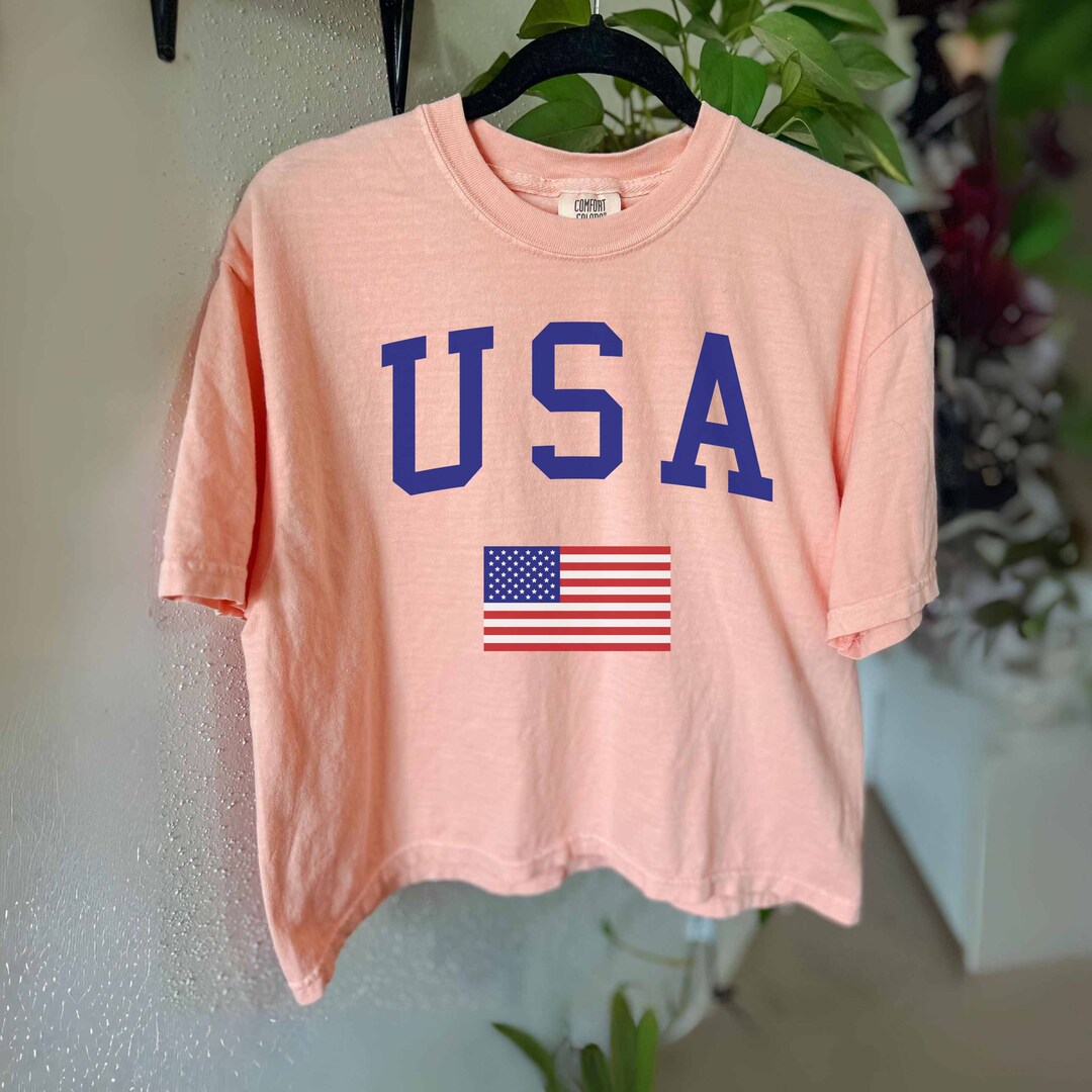USA Comfort Colors Crop Top, Vintage 90s Graphic Shirt, Retro Tee ...