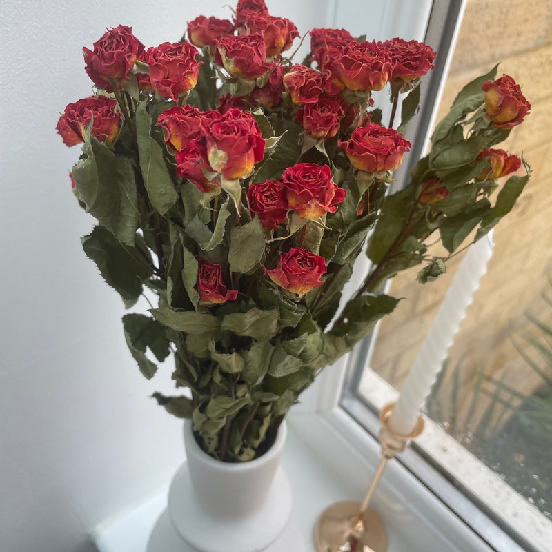 Burnt Orange Rose - Etsy