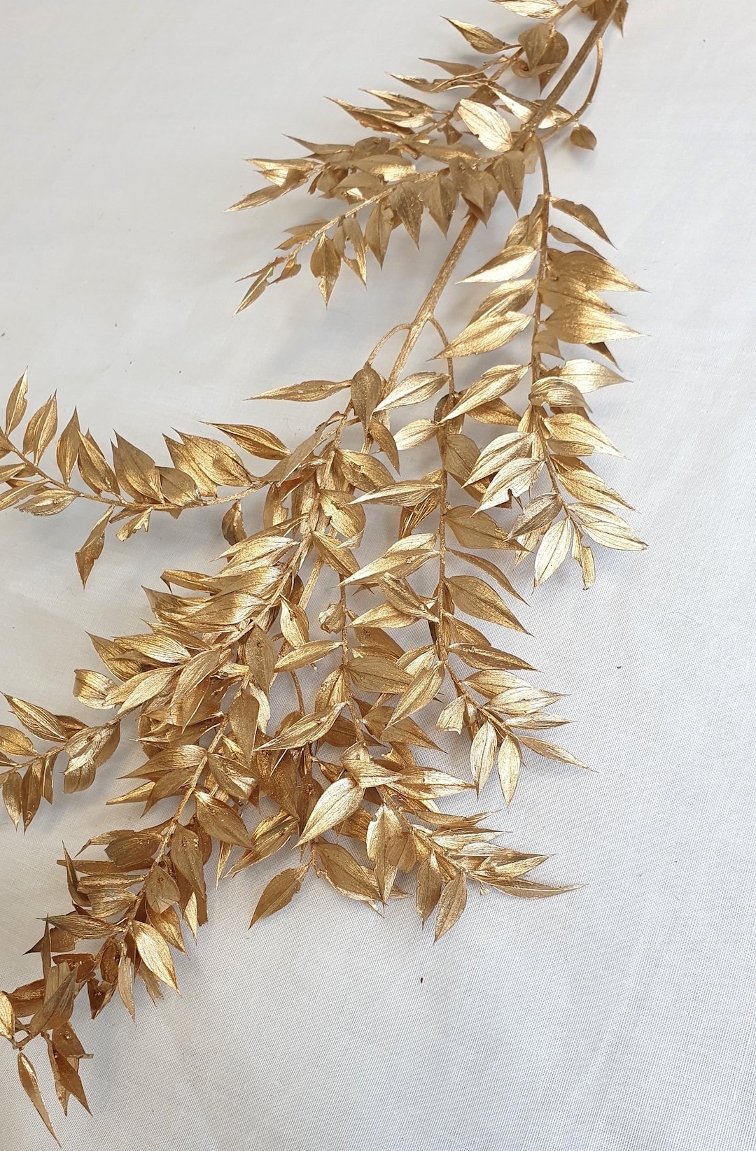 1 Stem Preserved Gold Ruscus Dried Flowers Ruscus for Arrangement ...