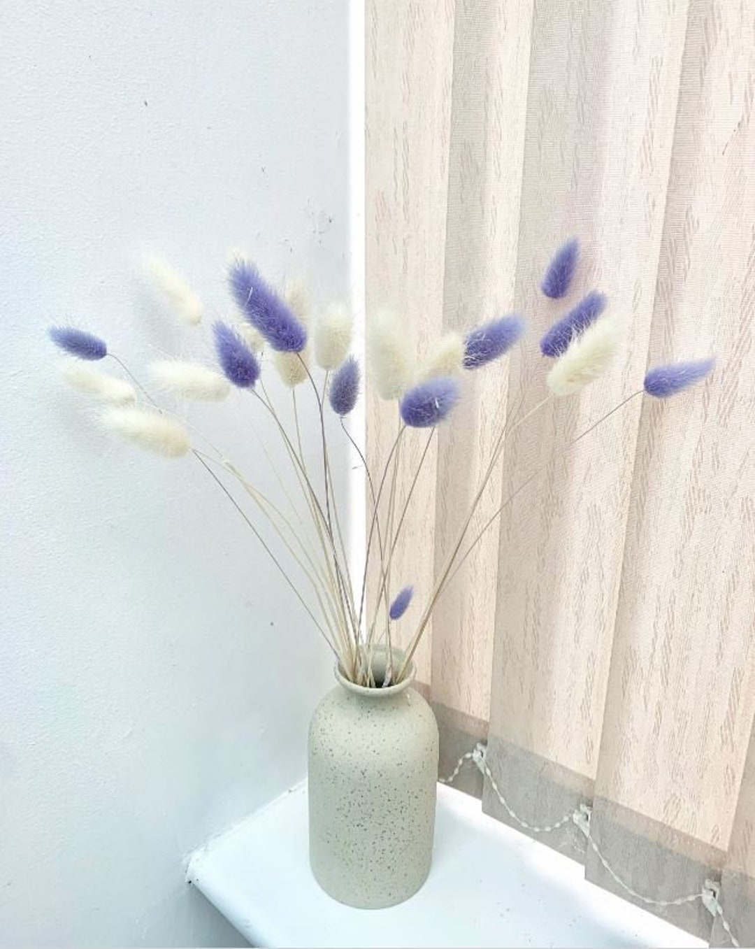 Bunny Tails Grass , Lagurus , Purple , Natural Brown Bunny Tails ...