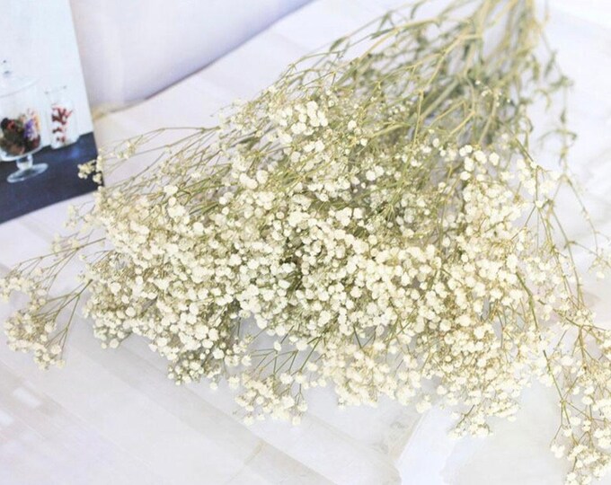 Fresh Gypsophila Babys Breath White Gypsophila - Etsy UK