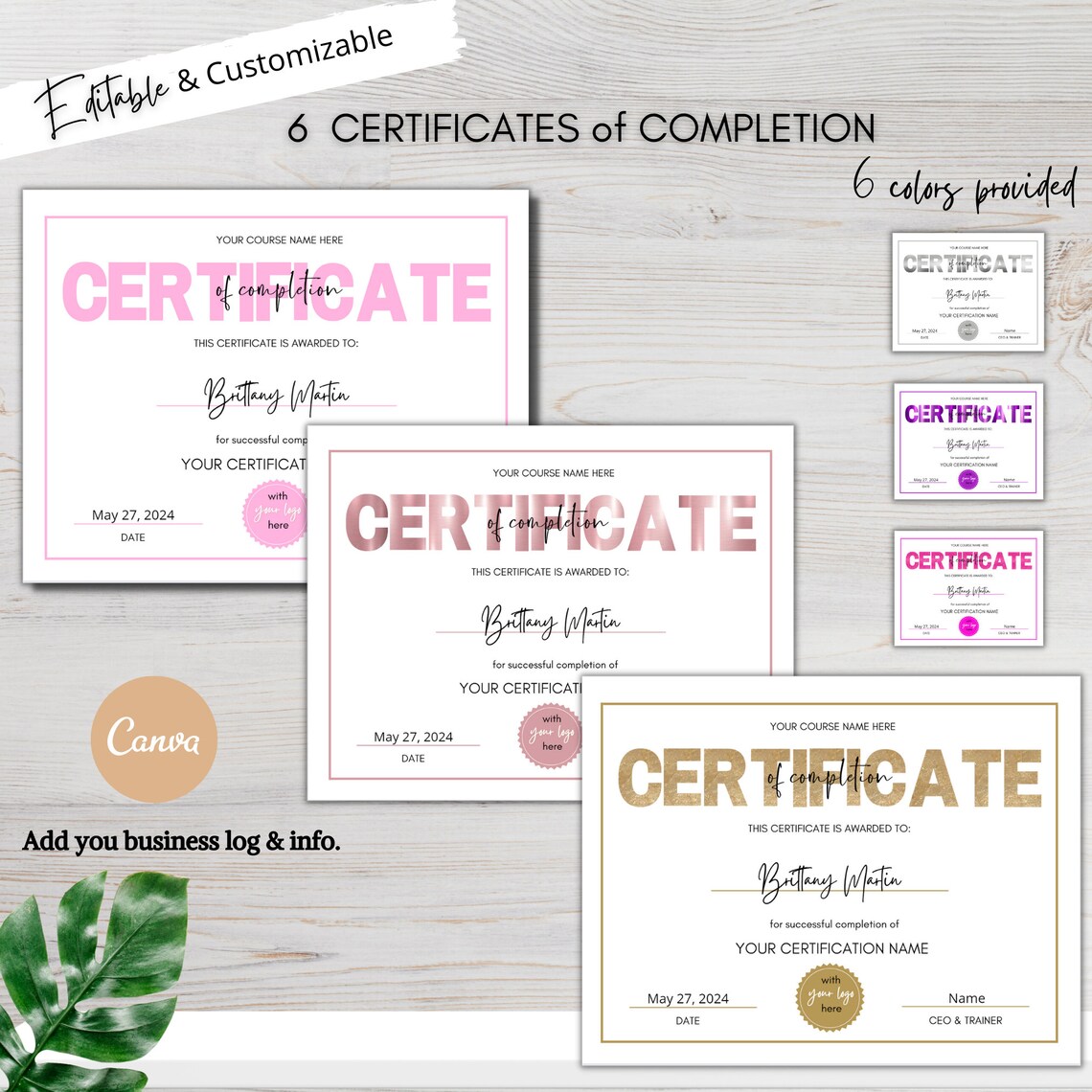 DIY Certificate of Completion Template Printable Course - Etsy