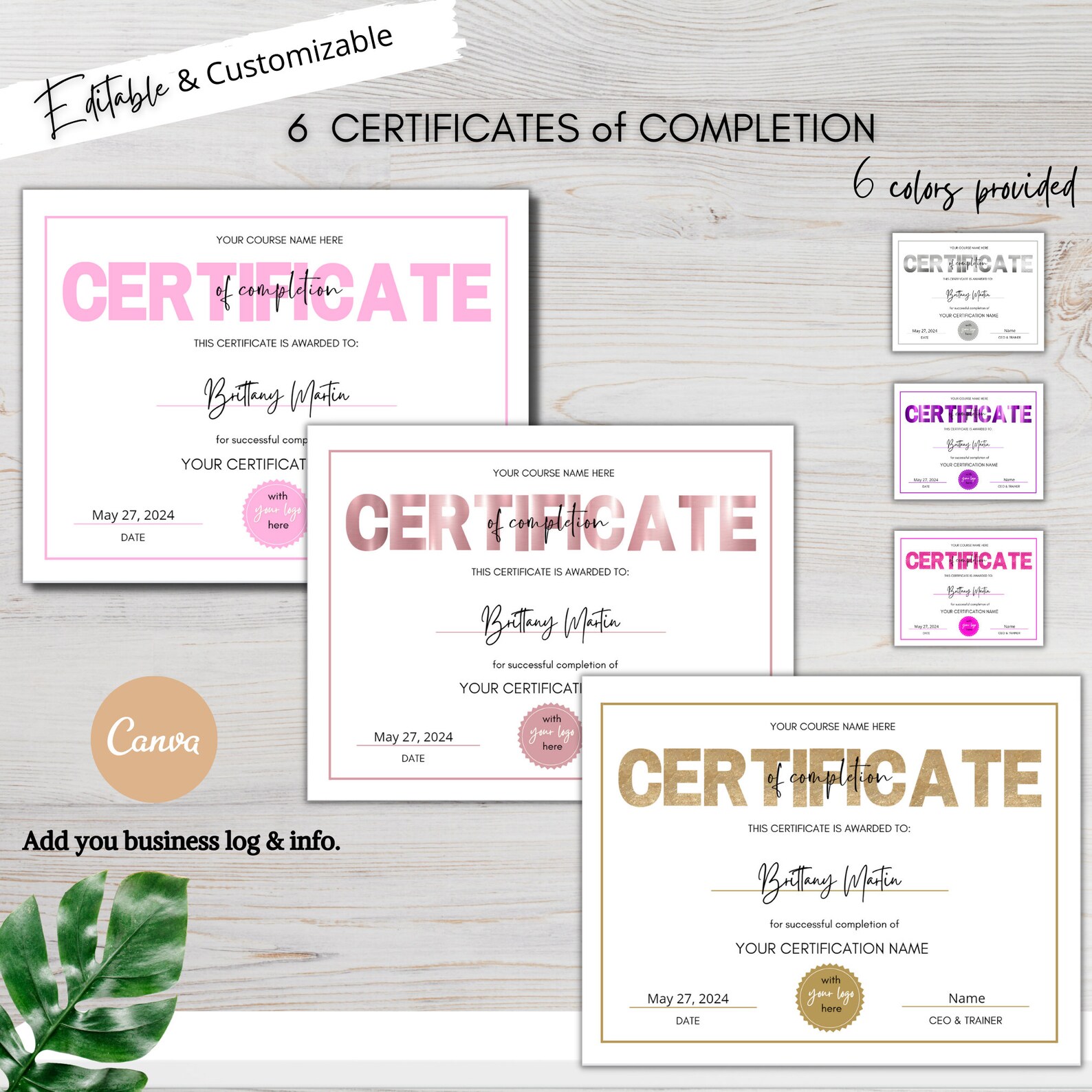 DIY Certificate of Completion Template Printable Course - Etsy