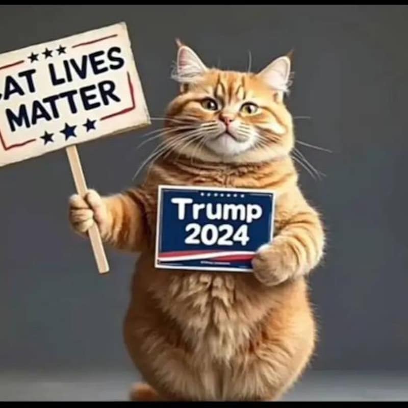Cats for Trump Sign - Etsy
