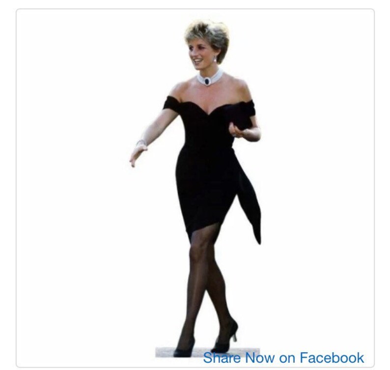 Princess Diana Dutchess Wales Life Sized Cardboard Cutout FREE SHIP - Etsy