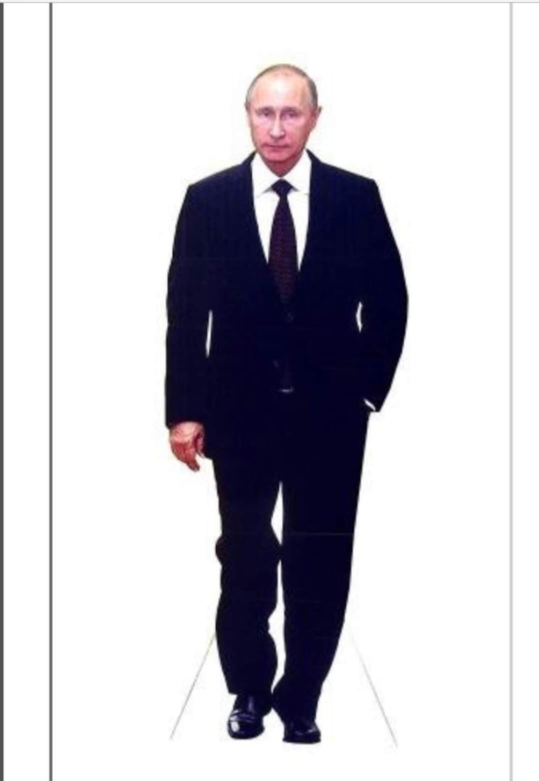 Vladimir Putin Life Sized Cardboard Cutout FREE SHIPPING - Etsy