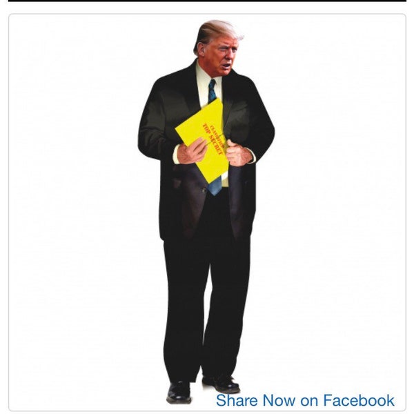 Donald Trump Cardboard Cutout - Etsy