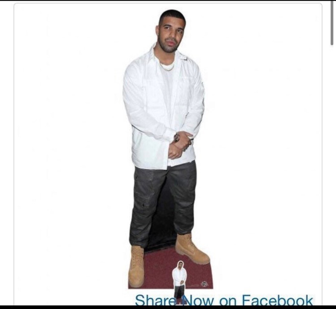 Drake Cardboard Cutout FREE SHIP - Etsy