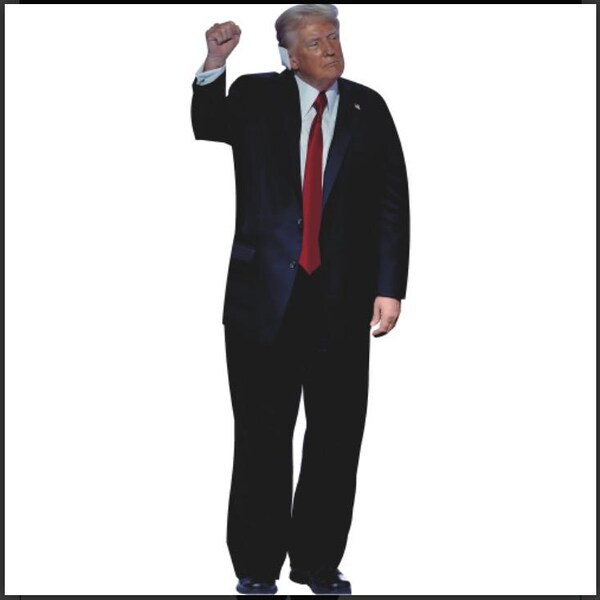Donald Trump Cardboard Cutout - Etsy