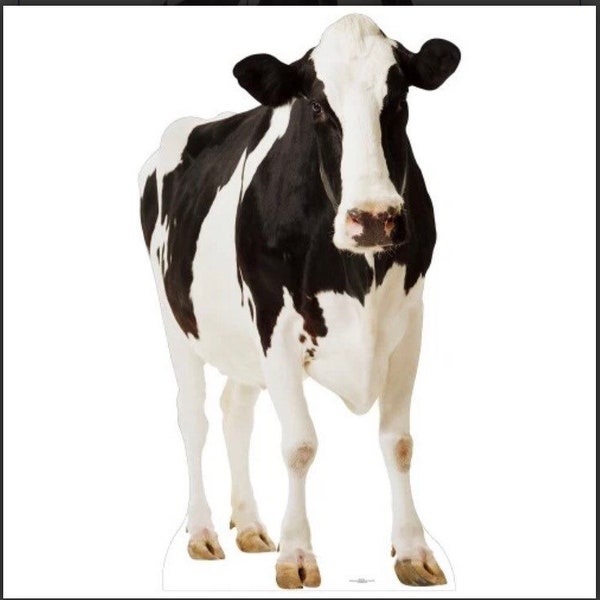 Cardboard Cow - Etsy