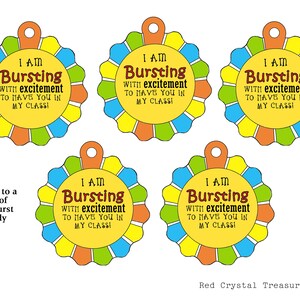 We Are, I Am Bursting With Excitement to Have You in My Class, Star ...