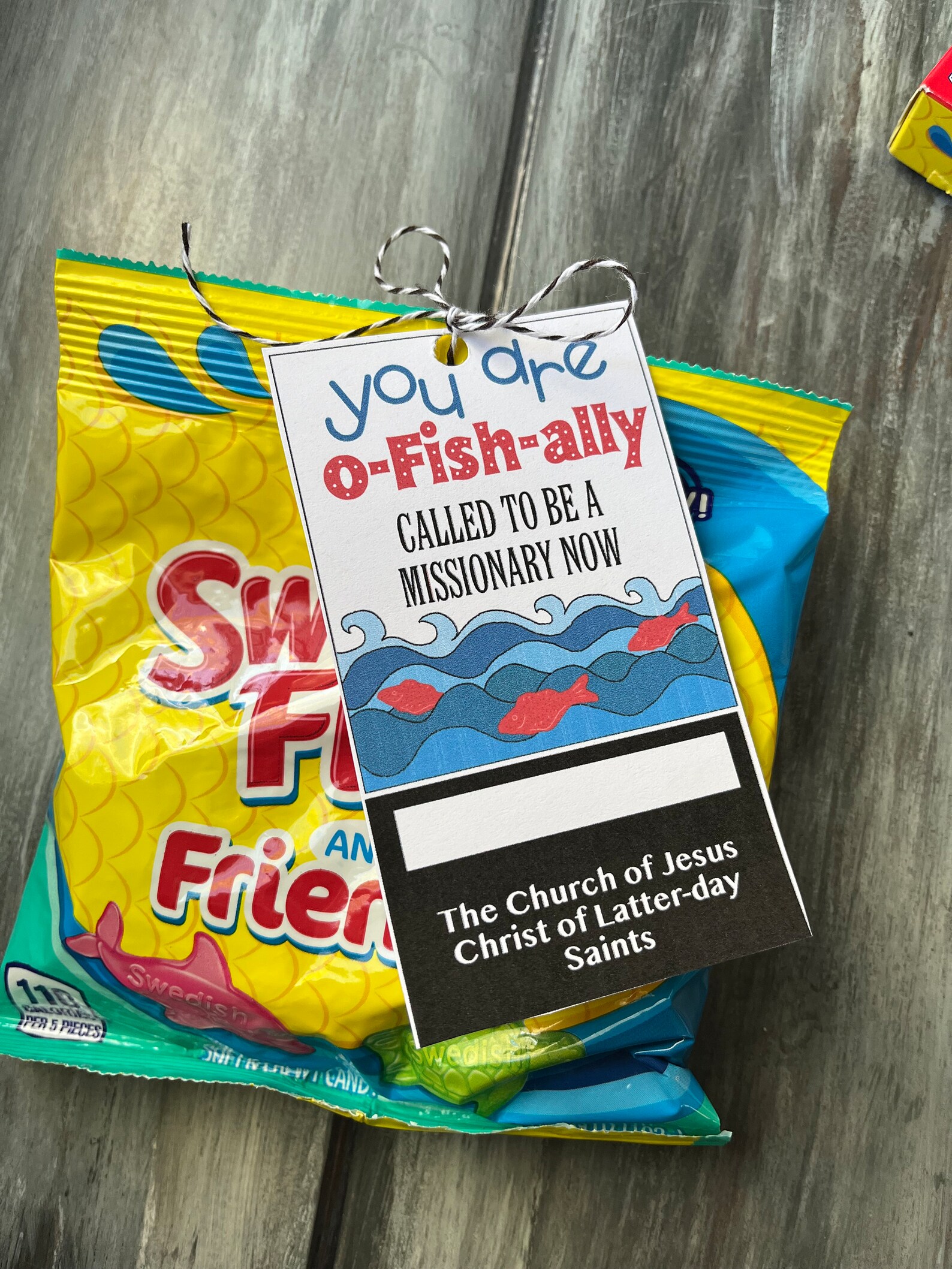 You Are O-fish-ally Called to Be a Missionary Now LDS - Etsy