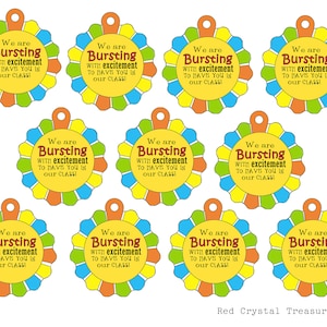 We Are, I Am Bursting With Excitement to Have You in My Class, Star ...